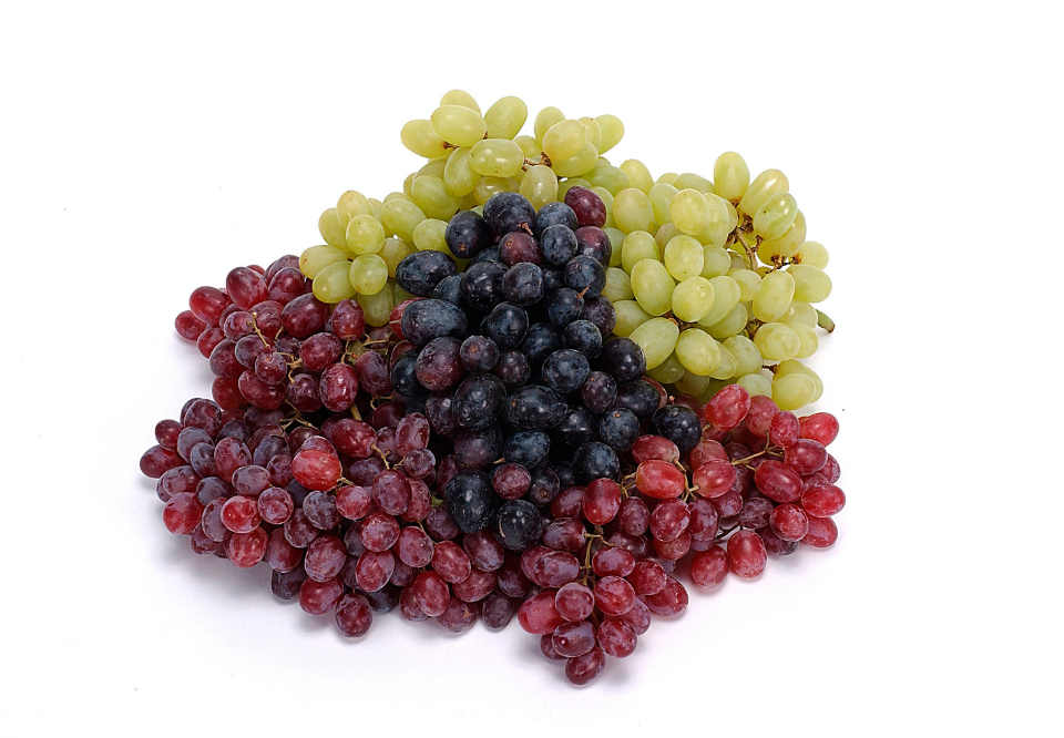 Саджанці винограду кишмиш в Україні ᐉ купити поштою в розпліднику Біосад